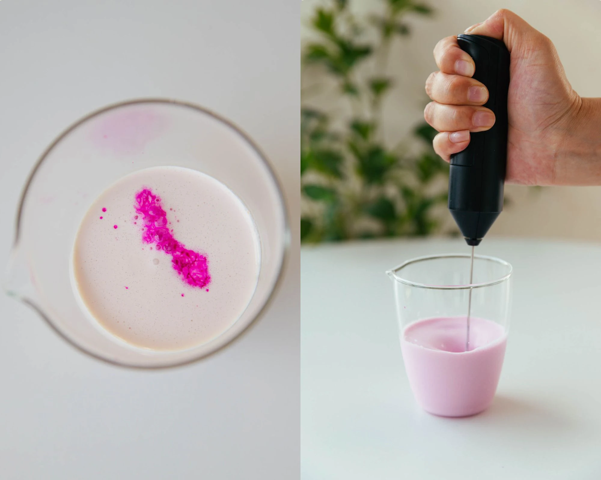 Coconut Rose Cold Foam - Oh Sweet Cups