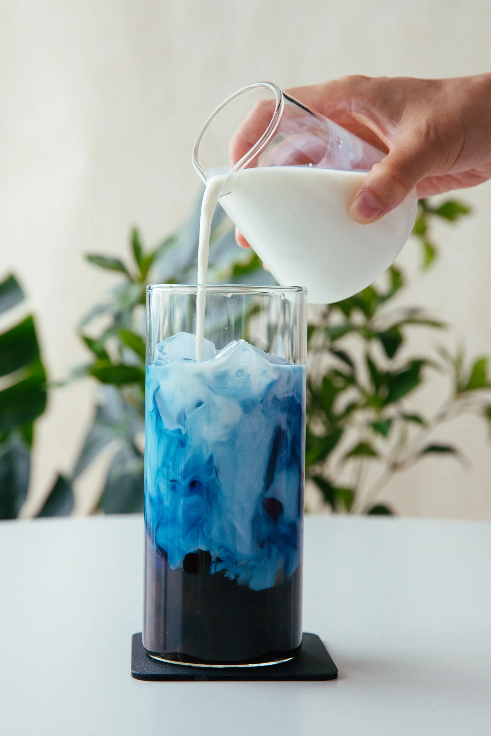Blue Boba - Butterfly Pea Flower Bubble Tea - Oh Sweet Cups